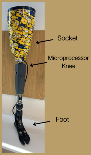 Prosthetic Components | APC Prosthetics