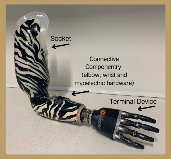 Prosthetic Components | APC Prosthetics
